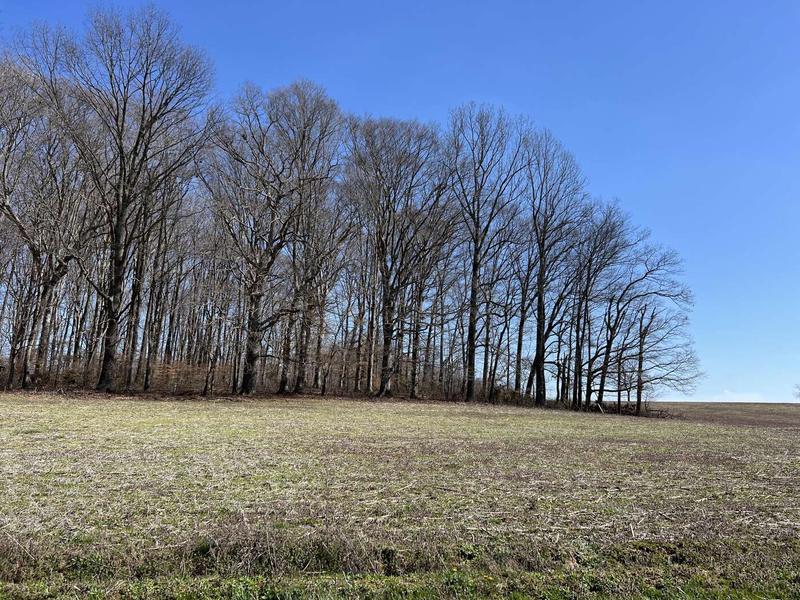 Tract 1 Elrod Road, Somerset, KY 42503 628471421 for Sale - Homeslyst